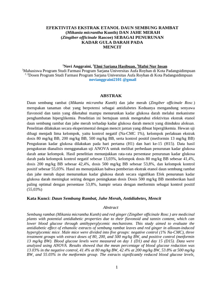 Novi Jurnal 2k25 | PDF