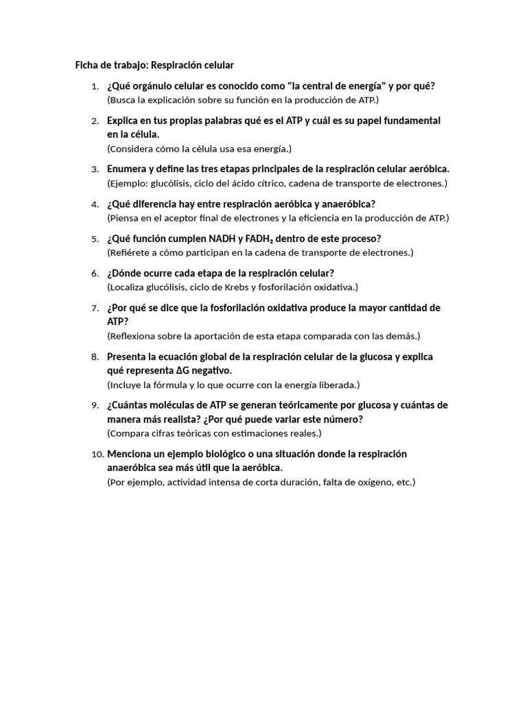 Respiración Celular: Etapas y Funciones | PDF | Respiración celular ...