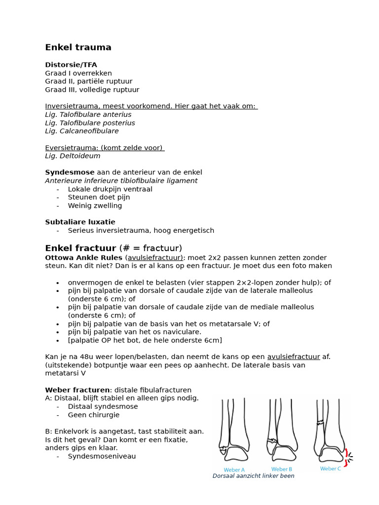 Enkel Trauma | PDF