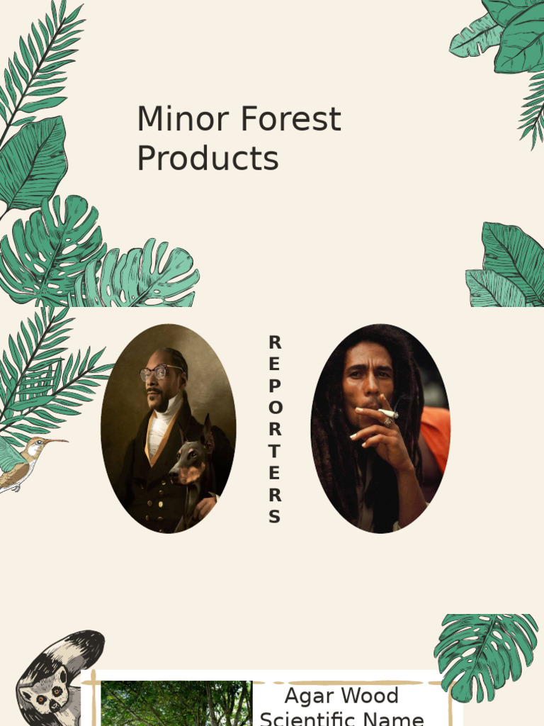 Forest Minor Products and Their Scientific Names | PDF | Cannabis (Drug ...