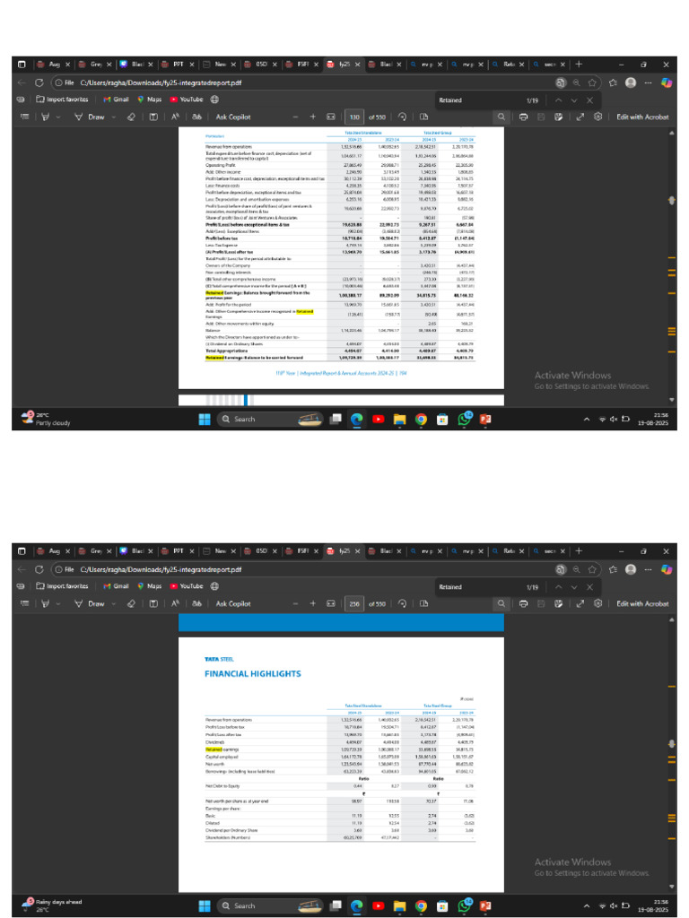 Screenshot | PDF