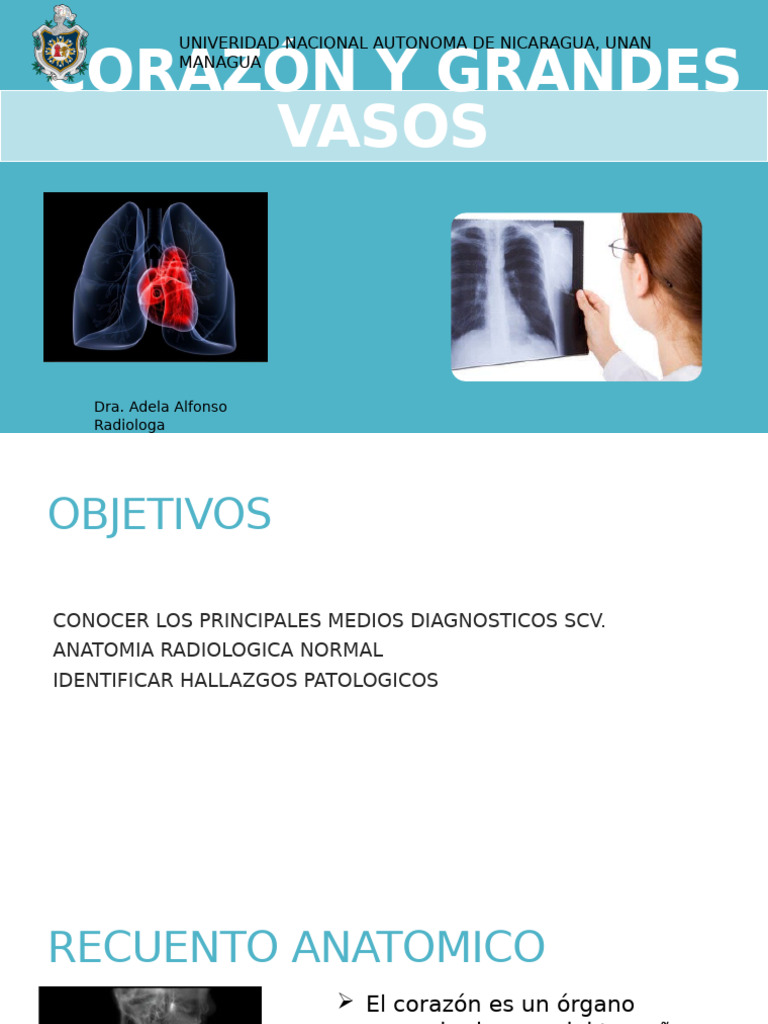 Corazon y Grandes Vasos. Clase Unan 2025 | PDF | Corazón | Sistema ...