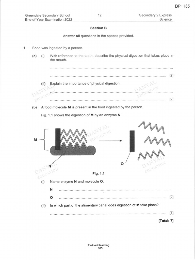 2022 Greendale Secondary Science Exam | PDF | Digestion | Stomach