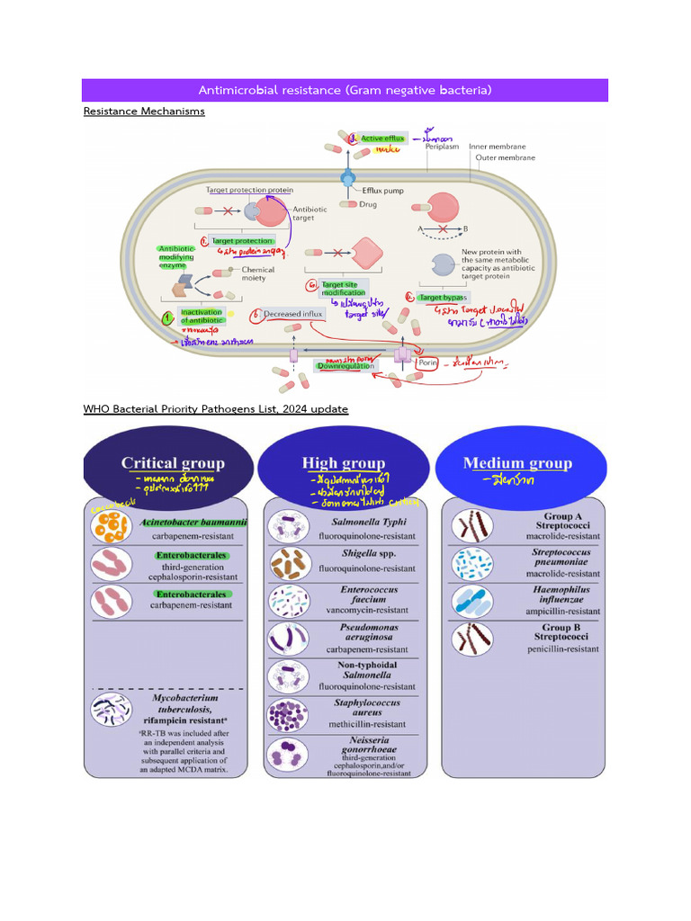 Antimicrobial Resistance | PDF