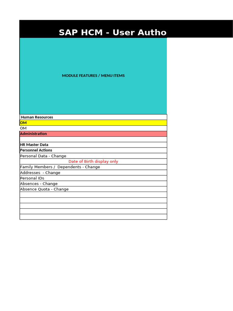 SAP HCM User Authorization Matrix Guide | PDF