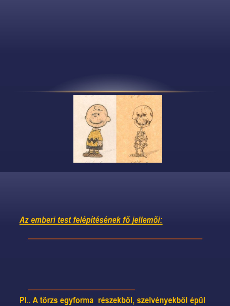 Fu An 20140308 | PDF