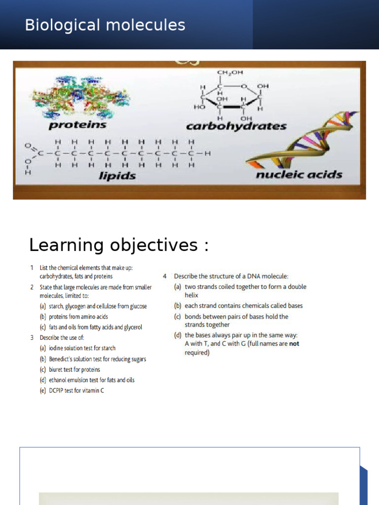 Biological Molecules (3) | PDF