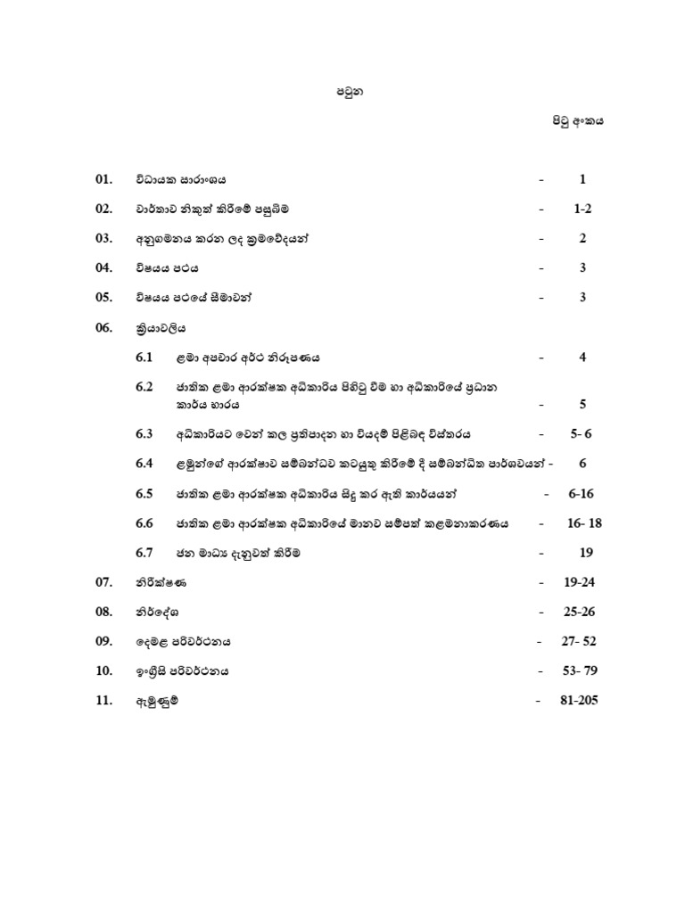 Final Report Child Protection Authority | PDF