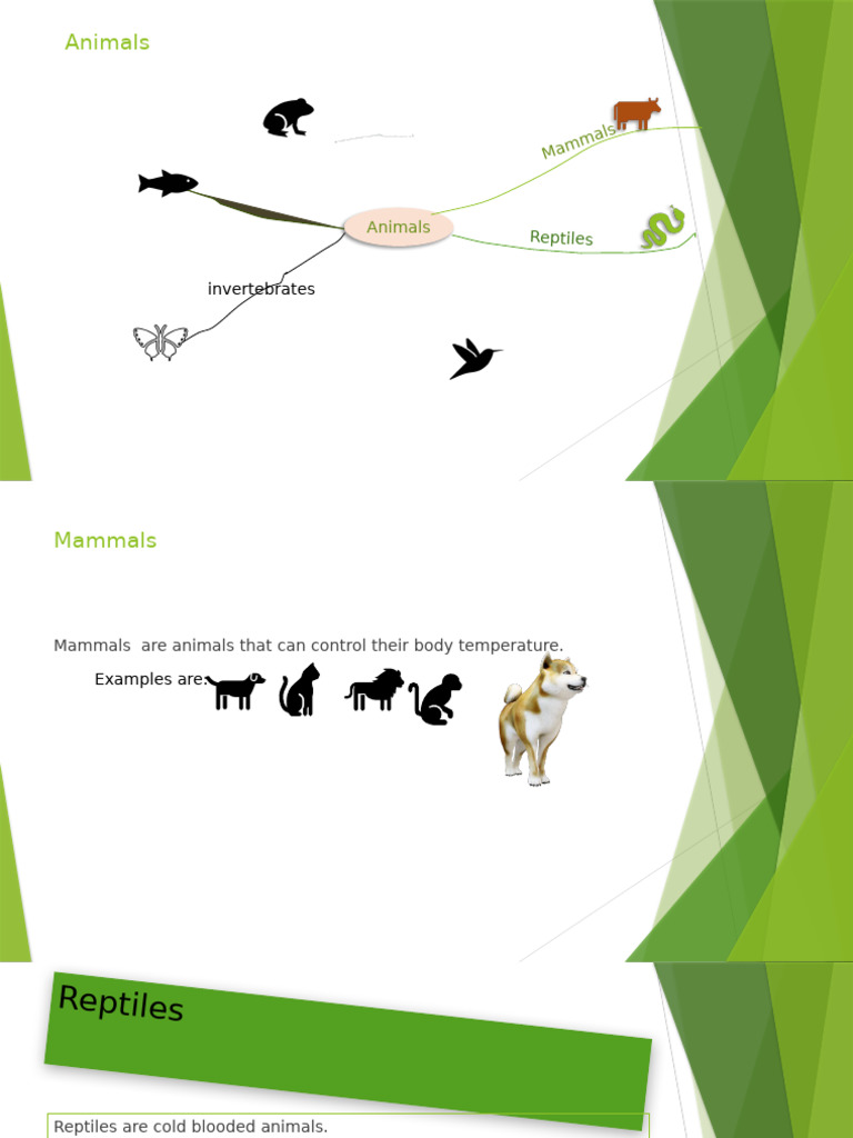 Overview of Mammals and Reptiles | PDF
