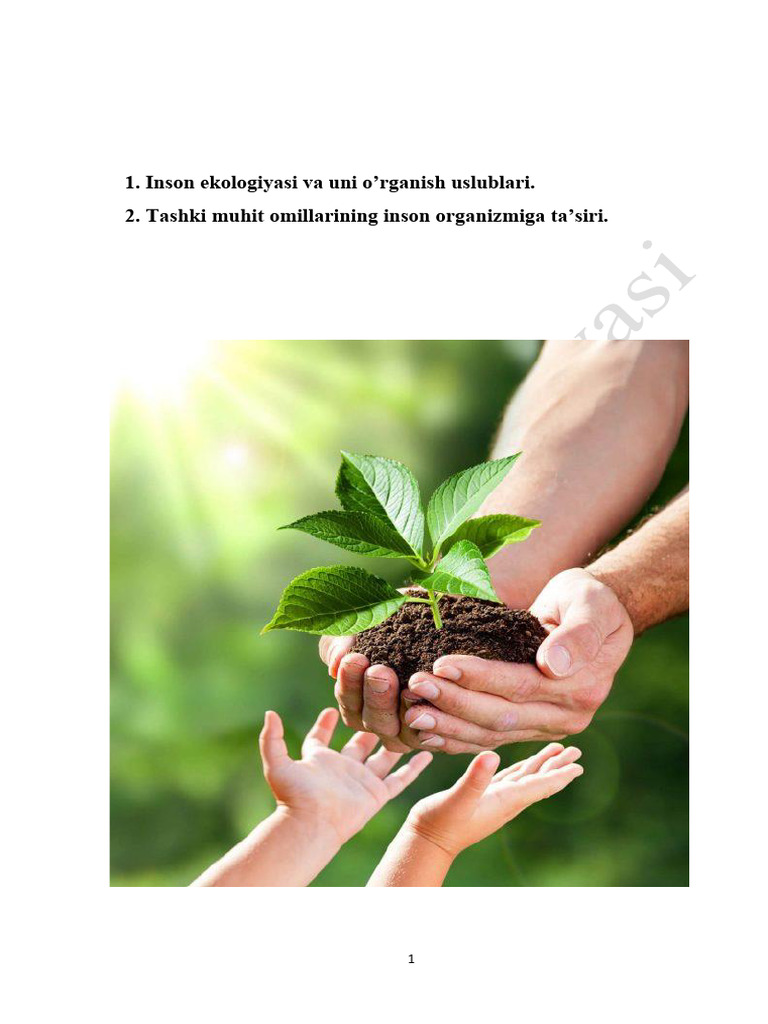 Mustaqil Ish O'qish | PDF