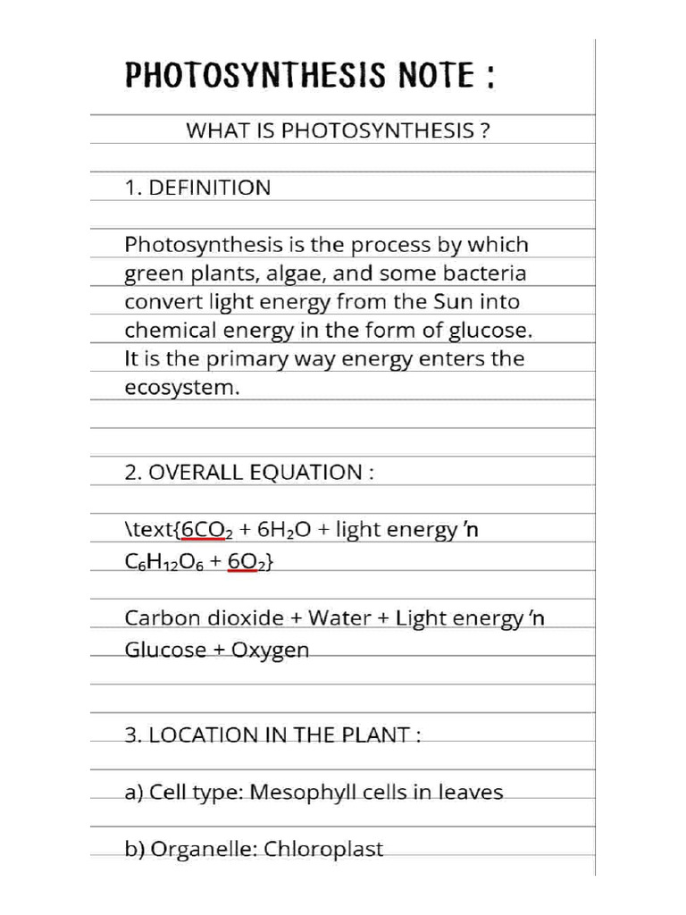 BIOLOGY NOTE - Photosynthesis | PDF
