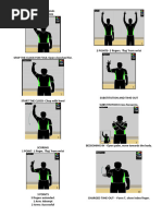 Umpire Hand Signals | PDF