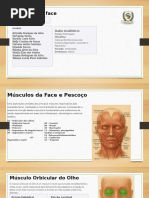 Músculos da Cabeça e Pescoço: Funções e Anatomia | PDF | Músculo ...