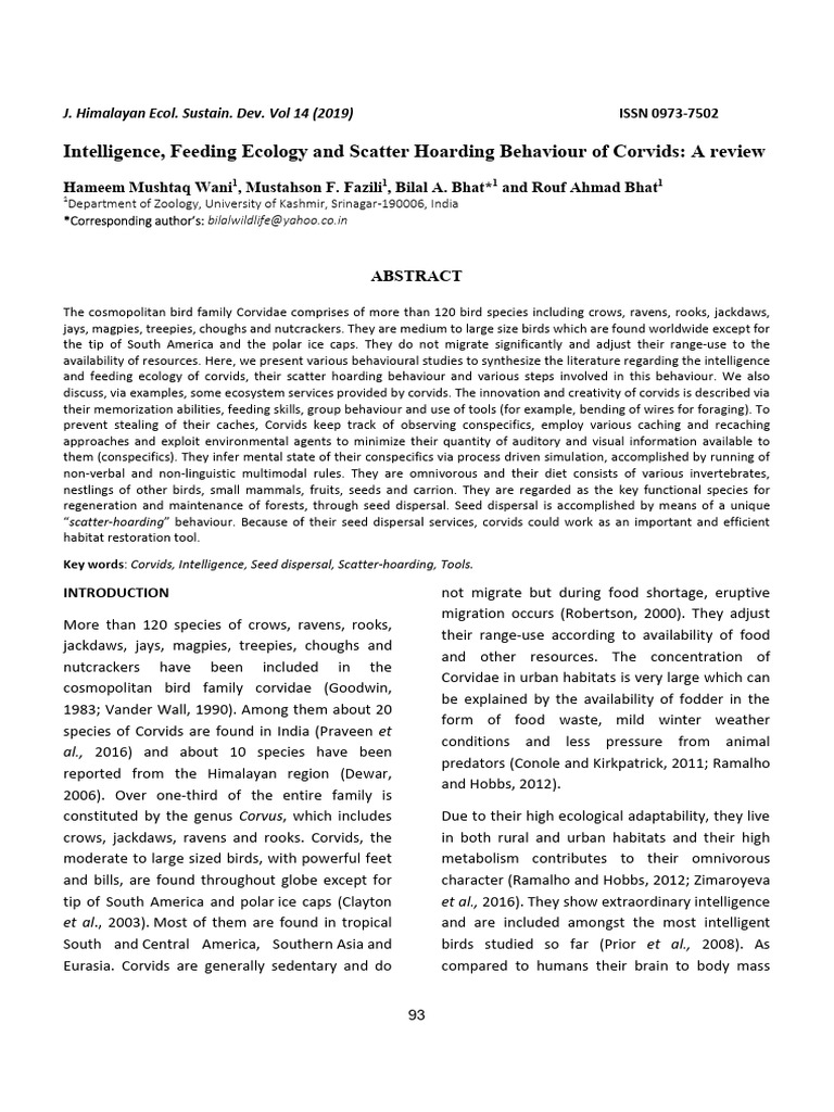 Intelligence, Feeding Ecology and Scatter Hoarding Behaviour of Corvids ...