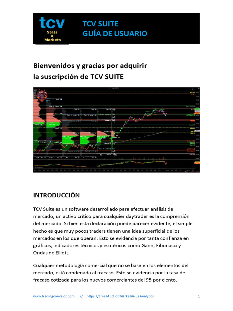 Guía de Usuario para TCV Suite | PDF | Archivo de computadora | Inversiones