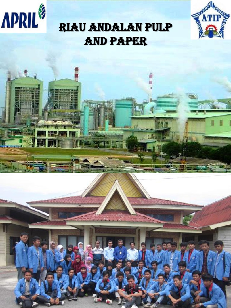 Sejarah dan Proses RAPP Pulp & Paper | PDF