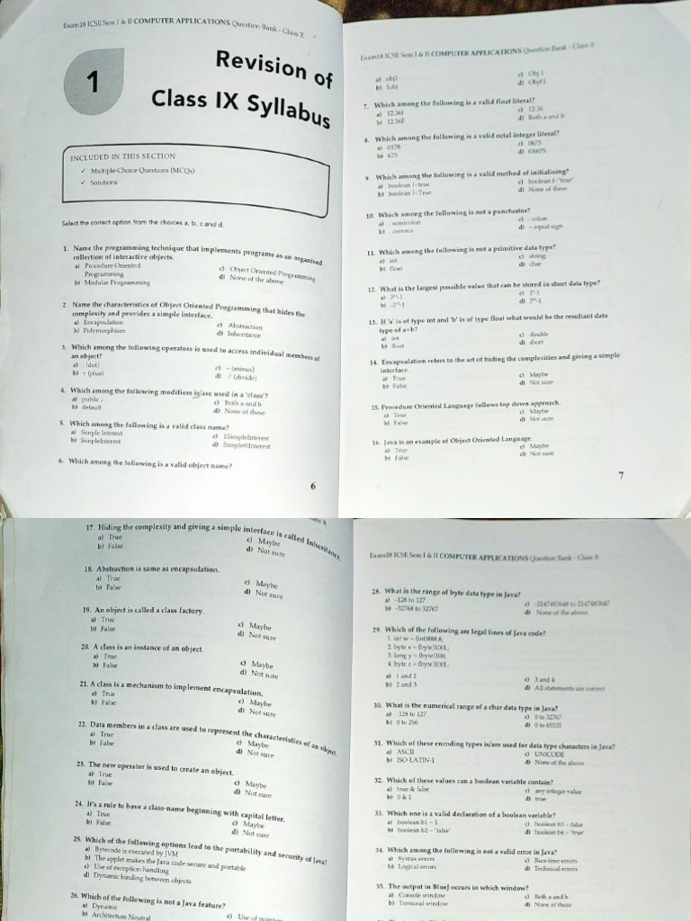 Icse Class 10 Computers MCQ and Subjective Questions | PDF