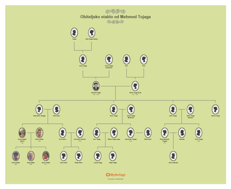 Meho Tojaga | PDF