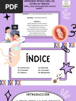 Carnet Del Embarazo | PDF