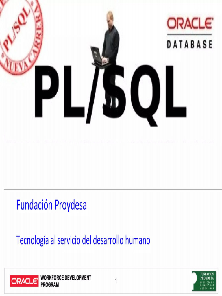 PL SQL Introduccion | PDF