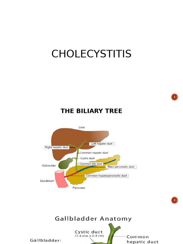 04 Disorders of The Biliary Tract | PDF | Gallbladder | Bile