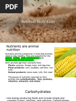 Essential Nutrients for Animal Health | PDF | Nutrients | Animal Feed