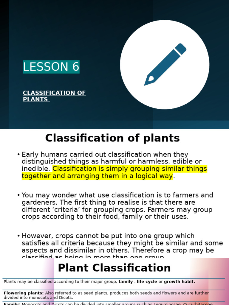 Lesson 6-Monocots and Dicots | PDF | Seed | Plants