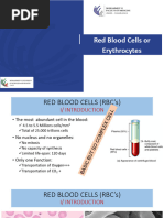 Red Blood Cell Diagram | PDF | Red Blood Cell | Blood