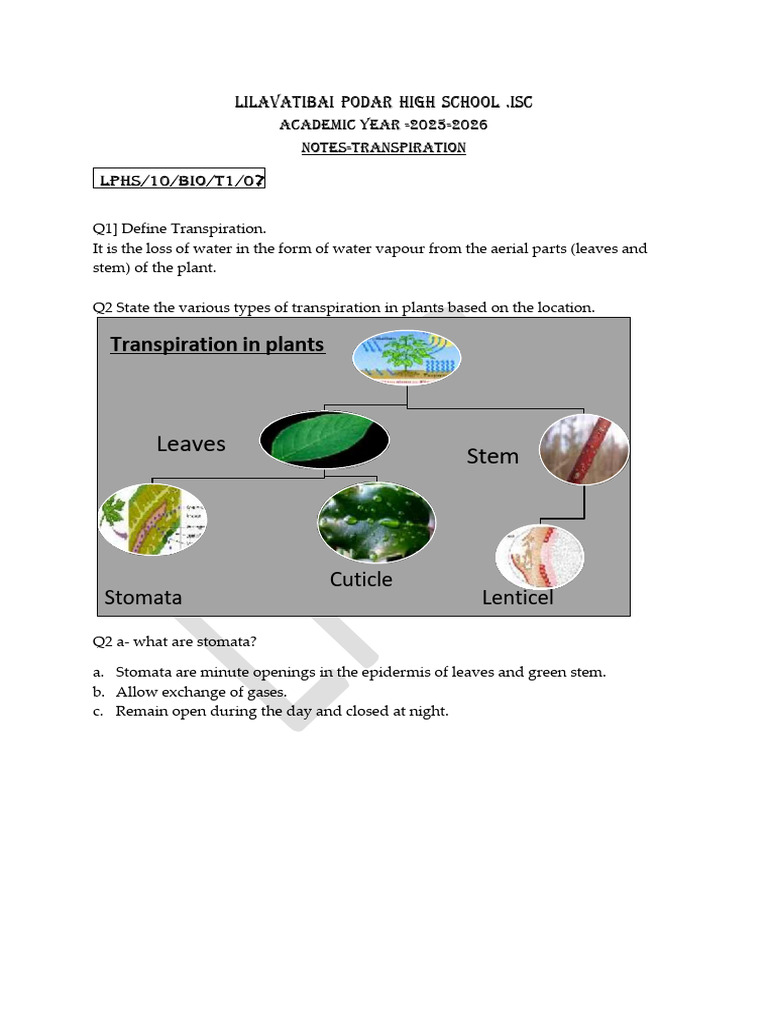 STD 10 Bio - Notes - TRANSPIRATION | PDF | Stoma | Leaf