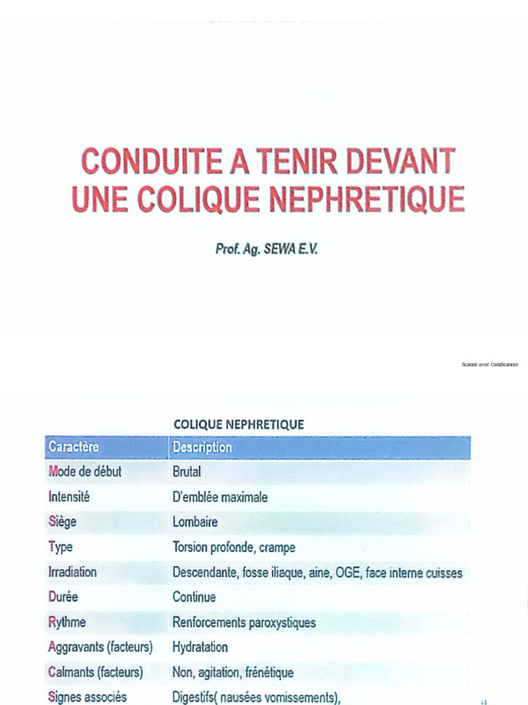 CAT Devant Une Colique Néphrétique | PDF