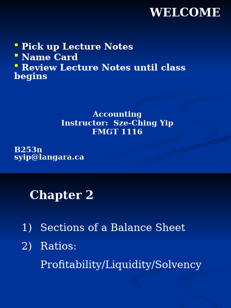 Accounting Balance Sheet & Ratios Guide | PDF