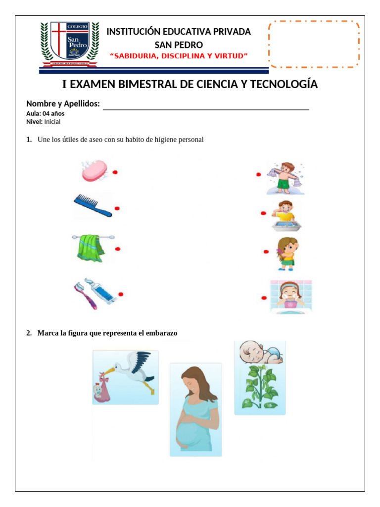 Examen Bimestral de Ciencia y Tecnología | PDF