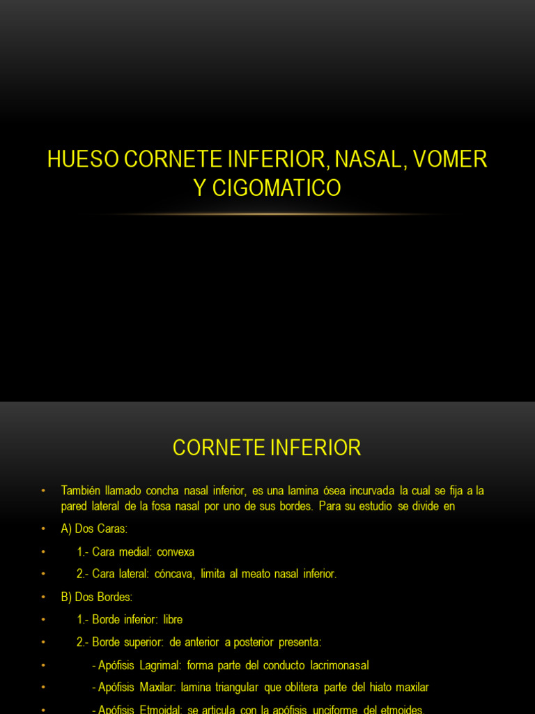 Cornete Inferior Vomer Malar 2 | PDF | Sistema esquelético | Sistema ...