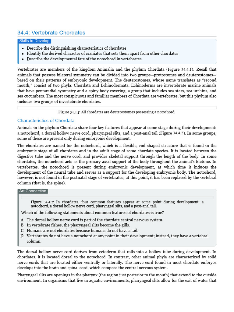 34.4 - Vertebrate Chordates - Biology LibreTexts | PDF | Vertebrates ...