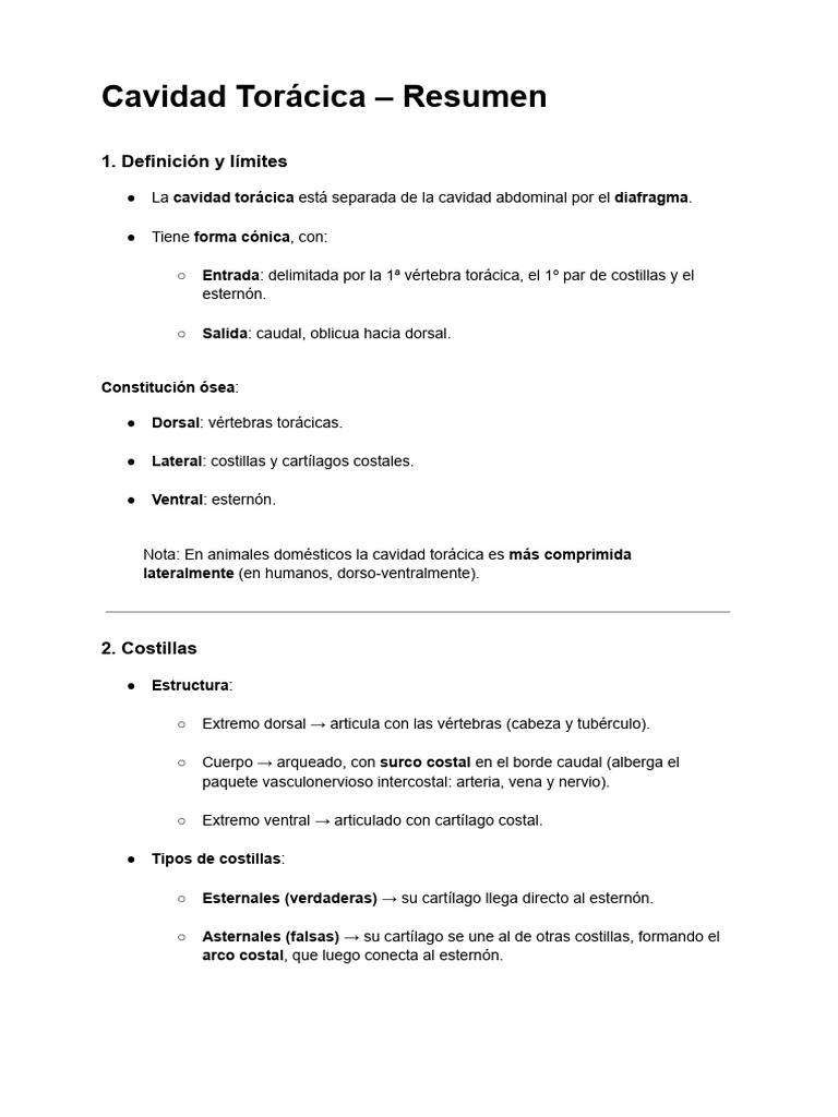 Anatomía y Función de la Cavidad Torácica | PDF | Tórax | Sistema ...