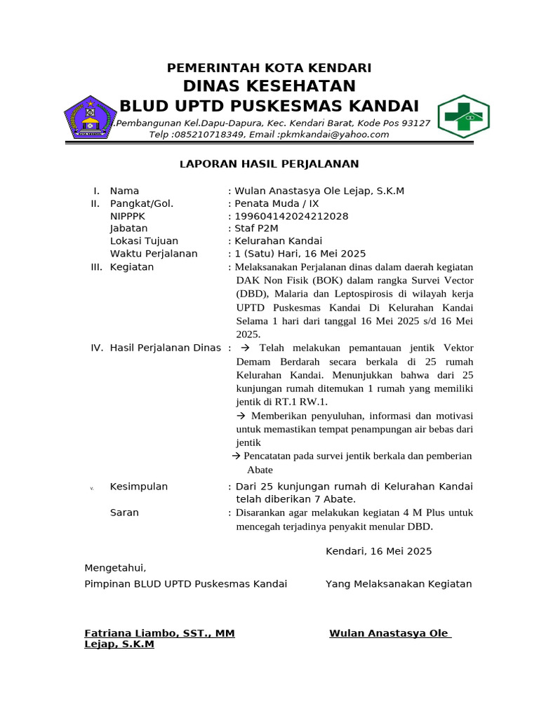 Laporan Survei Jentik Wulan | PDF