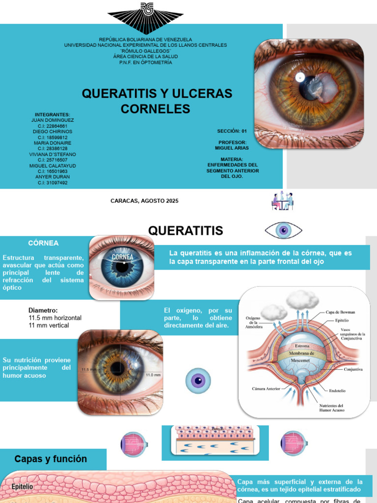 Queratitis y Úlceras Corneales: Guía Completa | PDF | Córnea | Inflamación