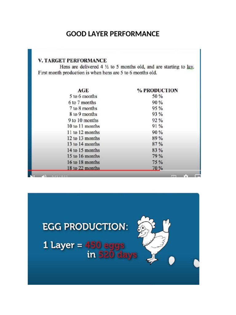 Good Layer Performance | PDF