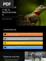 Conservación del Manatí en México | PDF | Especie en peligro | México
