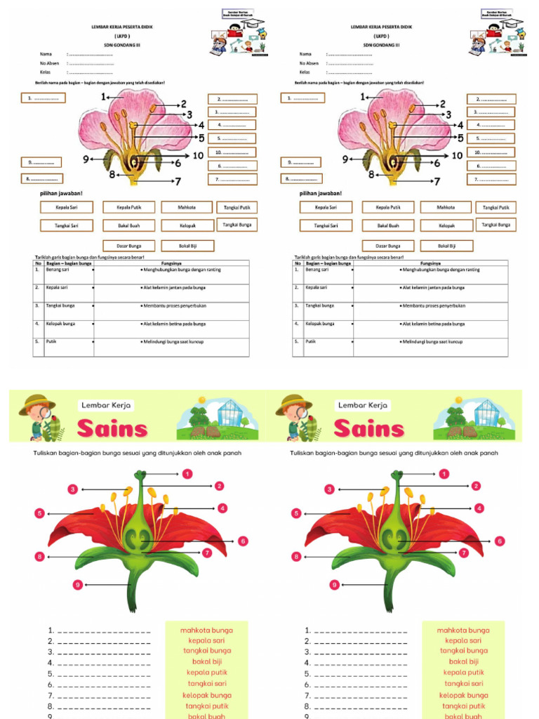 Worksheet Bagian Bunga | PDF