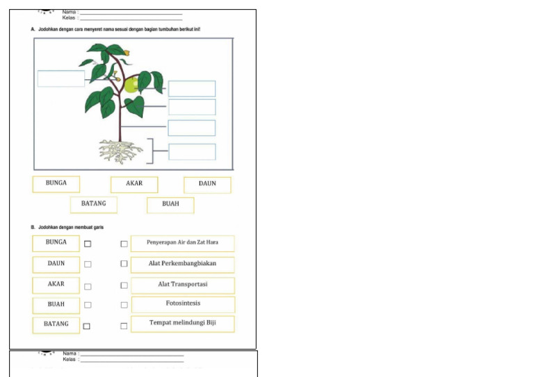 Worksheet Bagian Tumbuhan 1 | PDF