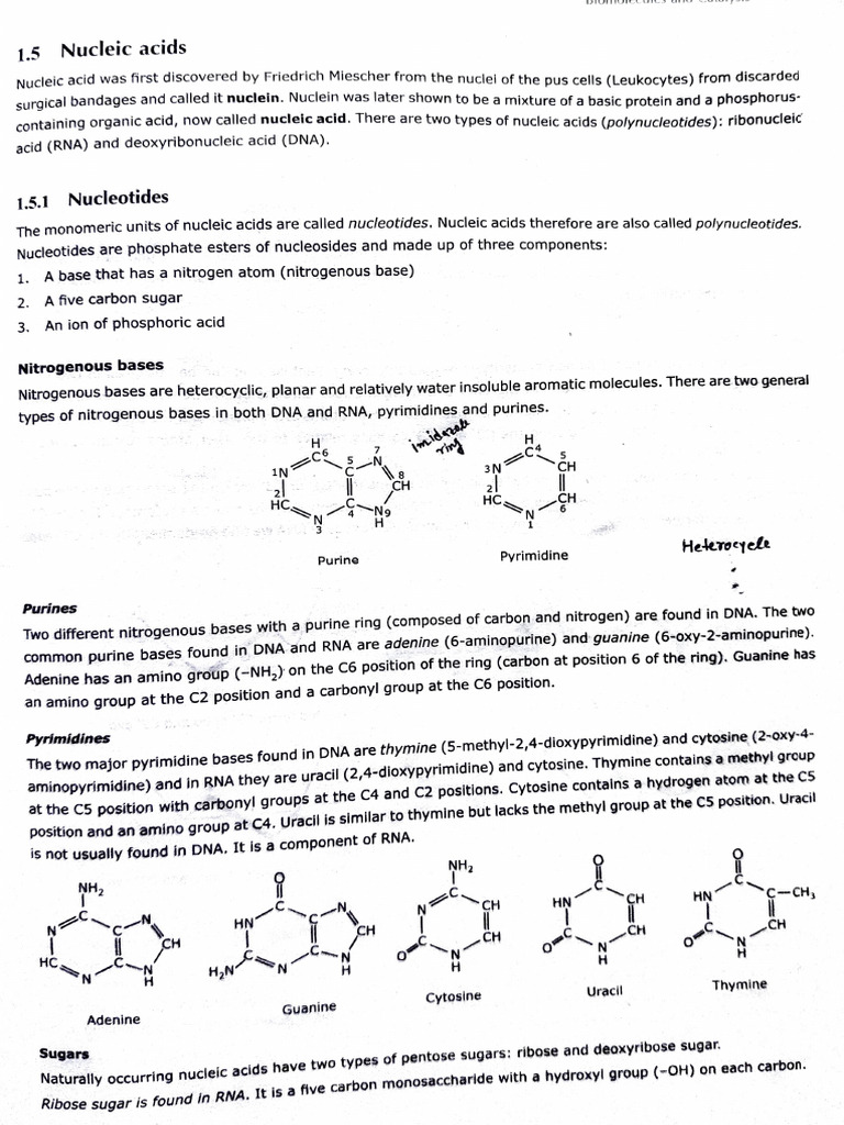Nucleic Acid | PDF | Nucleotides | Nucleic Acids