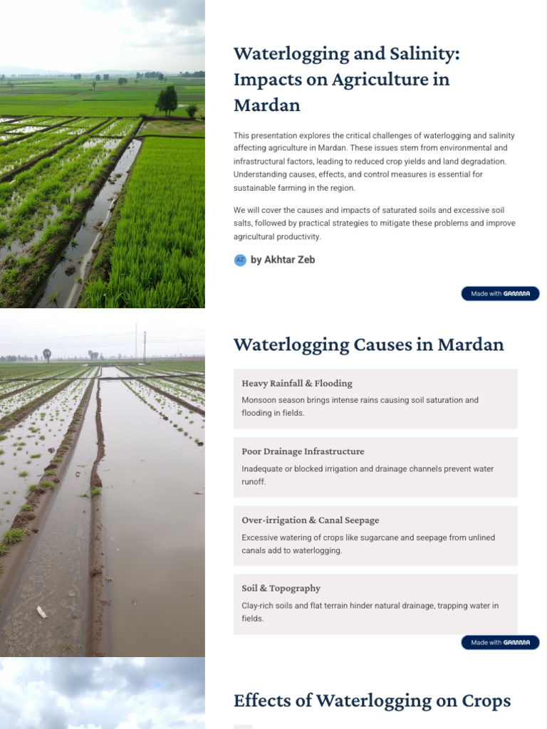 Waterlogging and Salinity Impacts On Agriculture in Mardan | PDF | Soil ...