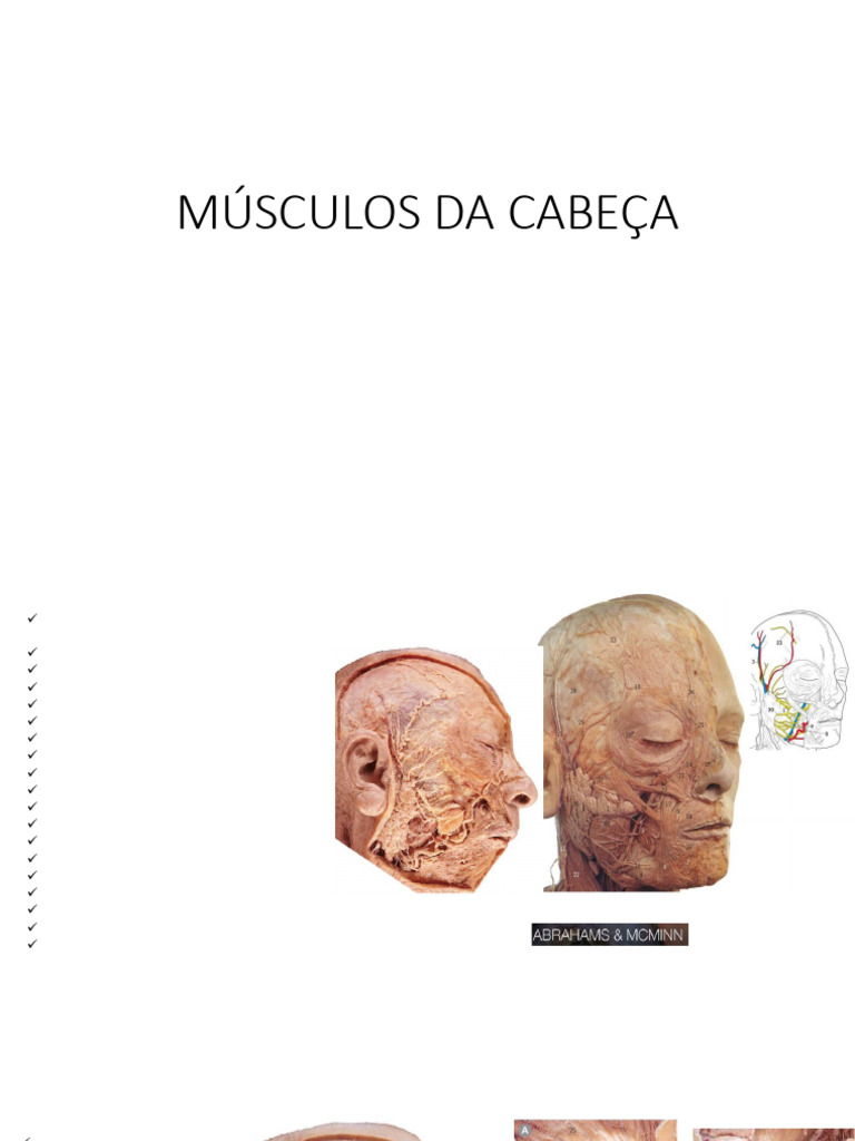 Músculos da Cabeça: Expressão e Mastigação | PDF | Rosto | Anatomia dos ...