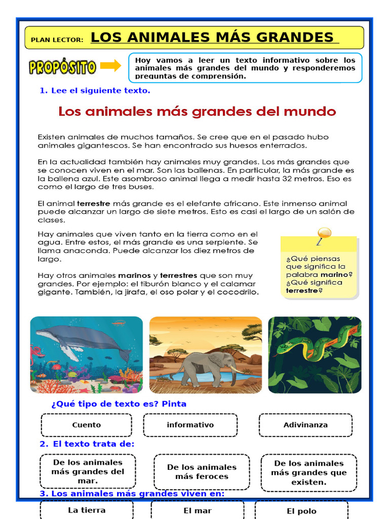 U6 s5 Ficha d4 Plan Lector Los Animales Mas Grandes Del Mundo 998591174 ...