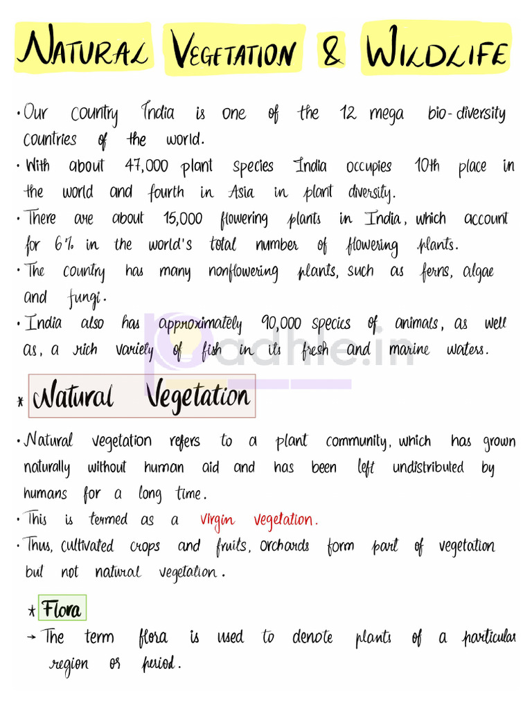 CH-5 Natural Vegetation and Wildlife | PDF