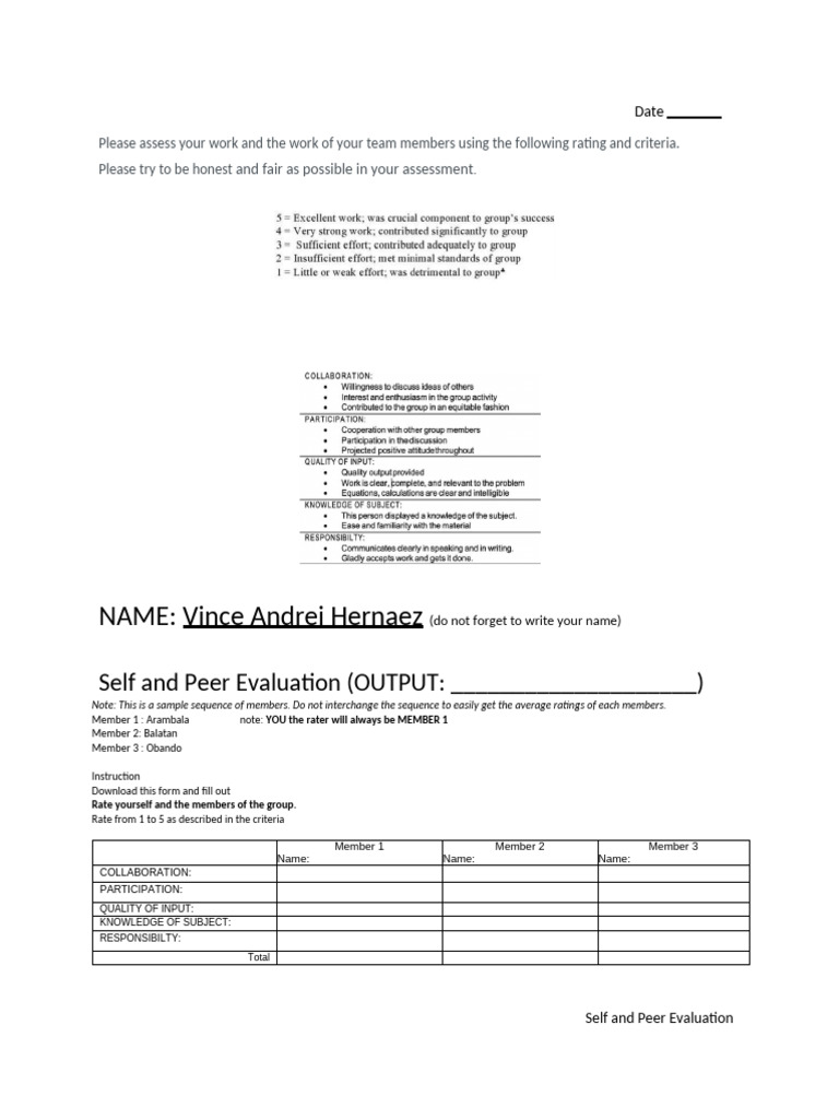 Group Self and Peer Evaluation | PDF