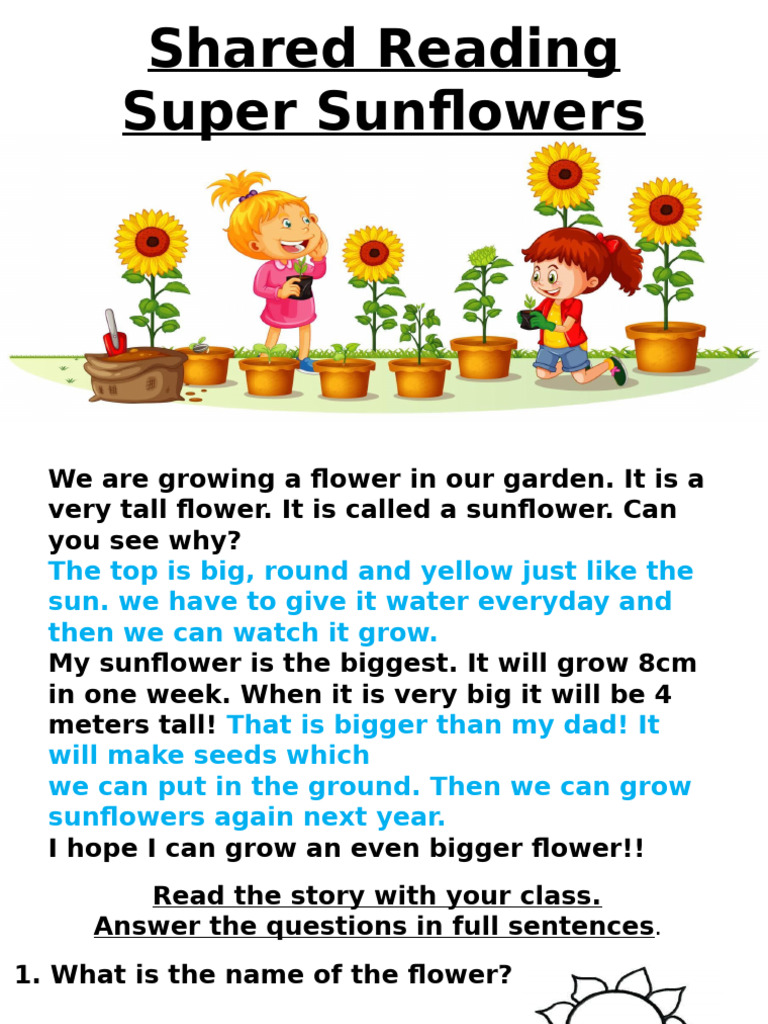 Comprehension Super Sunflowers | PDF