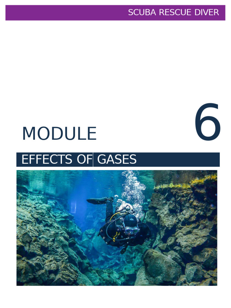 Regulator Recovery and Rescue Techniques | PDF | Scuba Diving ...