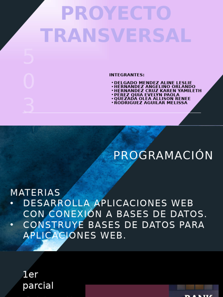 Proyecto Transversal 3er Parcial | PDF